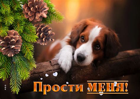 Прекрасная и нежная гиф открытка Прости меня Скачать бесплатно на