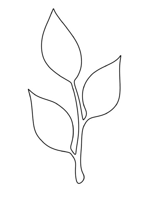 Stem And Leaf Template Printable Pdf Download
