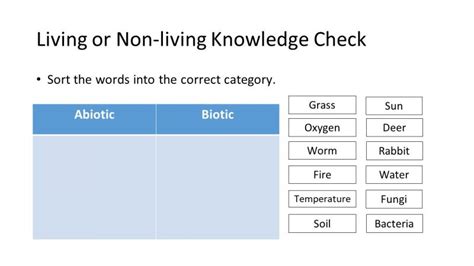 Essential Knowledge Ecosystem Organization Peer Program Youth Stem Promotion