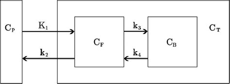 Two Tissue Compartment Models Characterized By Two Differential Download Scientific Diagram