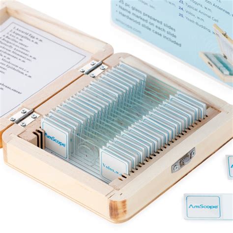 Amscope 25pc Prepared Glass Microscope Microbiology Slide Specimens Wi
