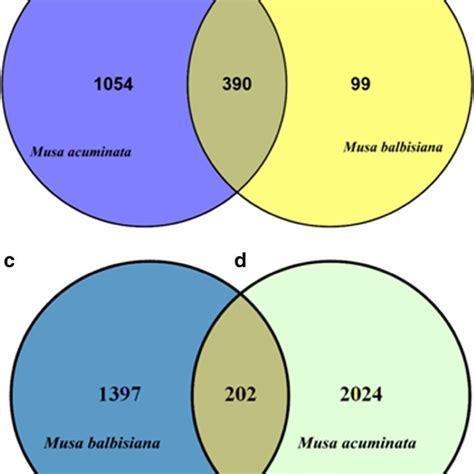 a venn diagram showing the common rfam annotated transcripts and the