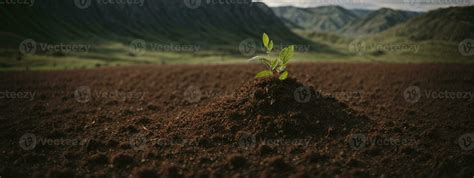 Soil AI Generated Stock Photo At Vecteezy