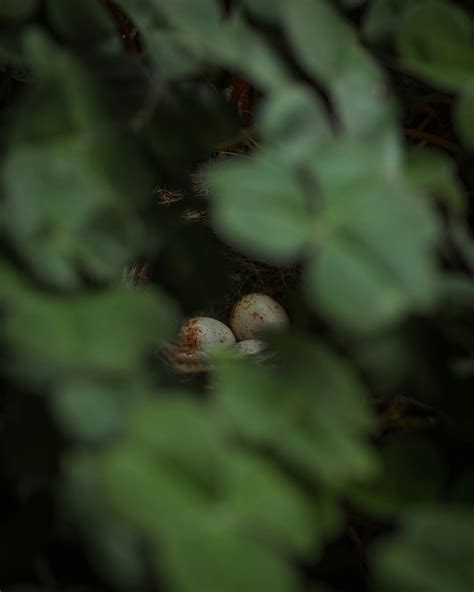 Mastering Data Cleaning In R A Comprehensive Guide To Using The… By Rob Stilson Medium