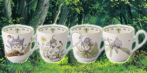 Sonrisa De Totoro Totoro Disney Wiki Fandom