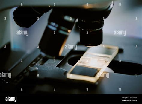 Microscope Slide Placed Under The Lenses Of A Laboratory Microscope Showing Detailed Components