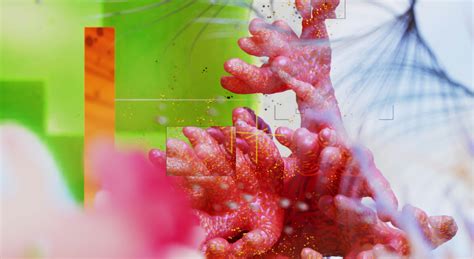 Сортировка данных в Sql Sql — это просто Сортировка данных в Sql Sql — это просто