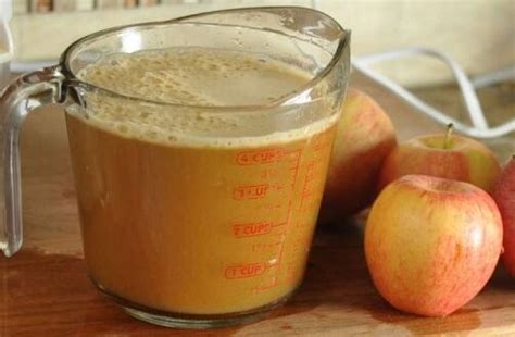 Свежевыжатый яблочный сок - Home-Cook.Net