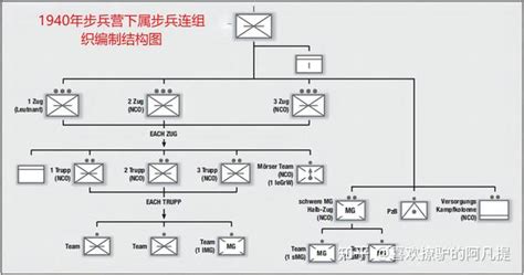 编号64 纳粹德国空军（luftwaffe 1935 1945）：雄鹰天降 纳粹德国空降猎兵（fallschirmjäger）专题07 第22空中突击步兵师的组织编制（第一部分）：师级组织结构