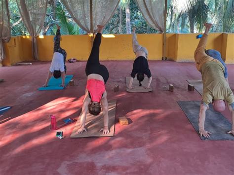 Best Yoga Teacher Training School In Goa