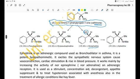 Amino Alkaloids Or Alkaloidal Amines Lec8 Part2 Youtube