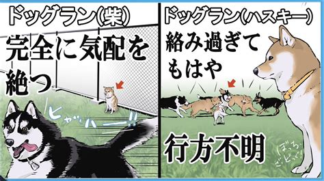 「典型的な柴犬とハスキーを飼っているが タイプが真逆すぎる件 」石原 雄の漫画