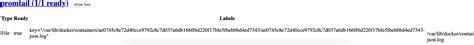 A Docker Service Discovery To Promtail Issue Grafana Loki GitHub