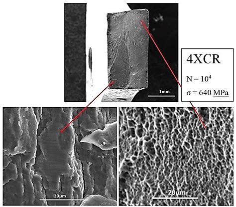 Sem Micrographs Of Fracture Surfaces Of Fatigue Specimens 4x And 4xcr