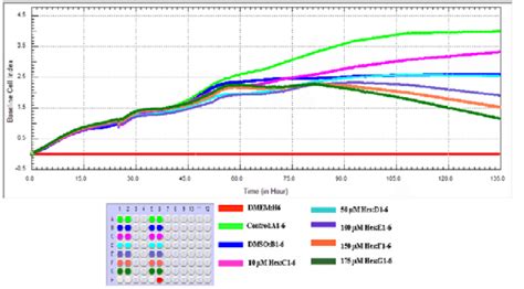 Real Time Monitoring Of Cell Adhesion And Cell Proliferation Effect Of