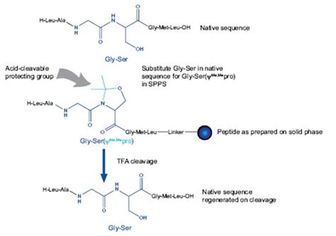 Overcoming Aggregation In Solid Phase Peptide Synthesis