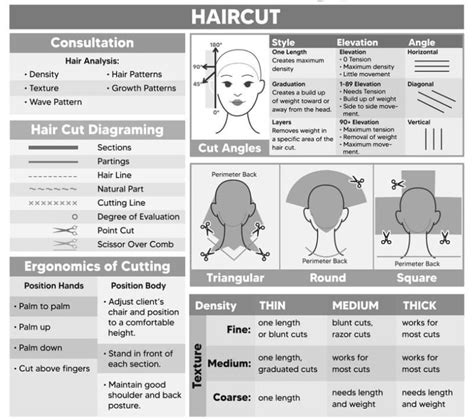 Cosmetology Practice Tests Online State Board Practice Exams Artofit