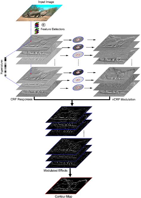 Figure 1 From Learning Nonclassical Receptive Field Modulation For