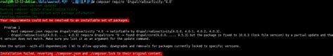 Cannot Use The Composer Installation 3336585
