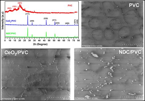 Microscopy Research And Technique Microscopy Journal Wiley Online