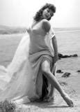Mara Corday Vintage Erotica Forums