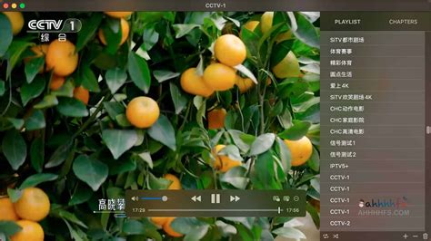 2023 Iptv直播源 国内网络直连 支持ipv4 Ipv6双栈访问 A姐分享