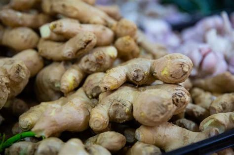 You Can Take Cuttings From Existing Ginger Plants To Grow More Just Follow These Steps