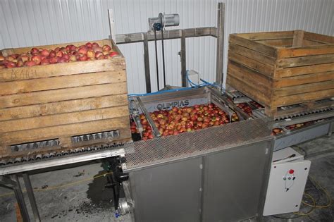 grading sorting and processing line for apples processing sorting