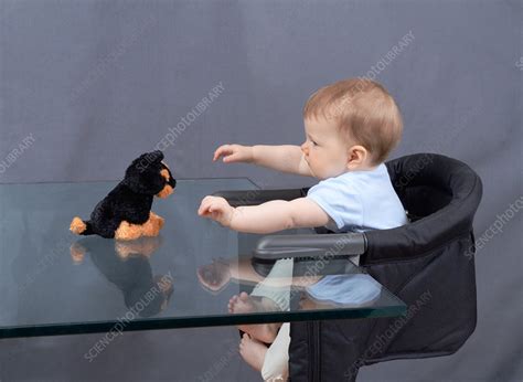 Object Permanence 1 Of 2 Stock Image C0363809 Science Photo Library