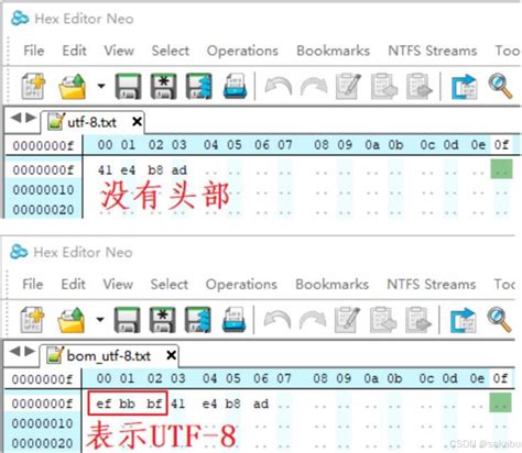 字符的编码方式（ascii，ansi，unicode） ansi字符 csdn博客