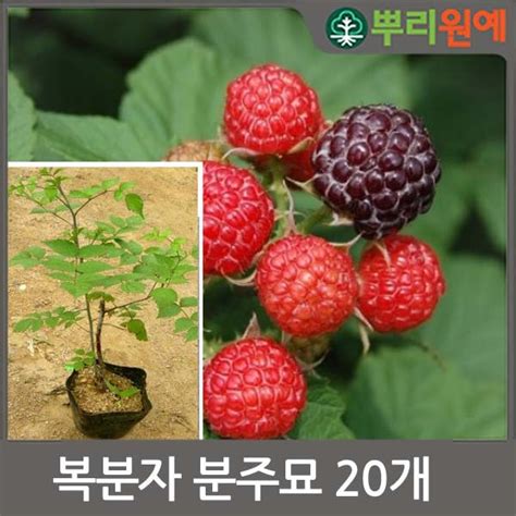 잔디견적 조경상담 환영 뿌리원예 입니다