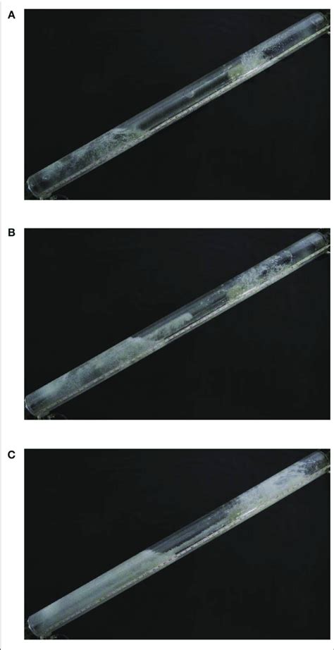 The Performance Of The Separator Under Different Flows A Dispersed Download Scientific