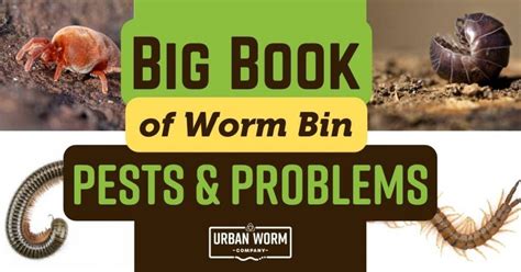 Winter Vermicomposting How To Keep A Worm Bin Warm When Its Cold
