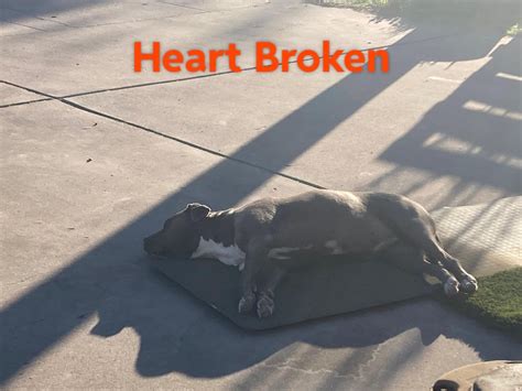 My Heart Broken Pitty 2 Hours Later When My Girlfriend Leaves And She