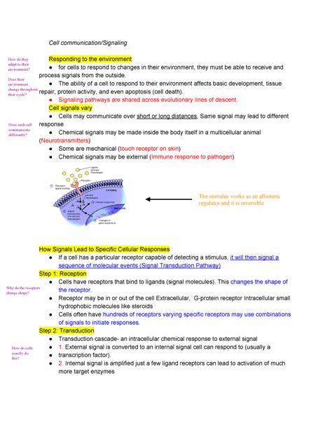 Cell Communicatessignaling Notes Cell Communicationsignaling Responding To The Environment