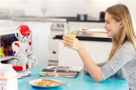 Alpha 2 A Humanoid Robot With Social Skills Is Now On Indiegogo Ieee Spectrum