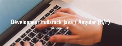 Développeur Fullstack Java Angular Hf Insitoo Lille Mission