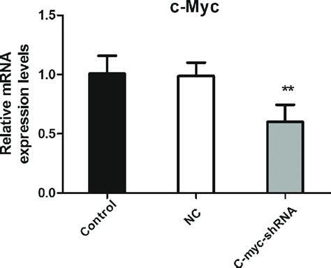 The Level Of C Myc Mrna Detected With Real Time Pcr After Transfection Download Scientific