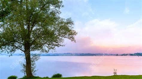 Lakeside Early Morning Rural Scenery Calm Powerpoint Background For Free Download Slidesdocs