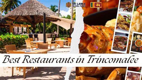 Trincomalee City Guide