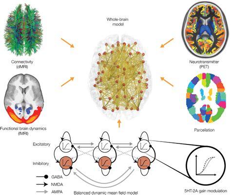 Figure 1 From Whole Brain Multimodal Neuroimaging Model Using Serotonin Receptor Maps Explains