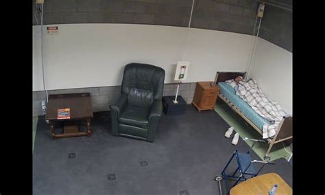 Seg Instance Segmentation Dataset And Pre Trained Model By Ciro Mennella