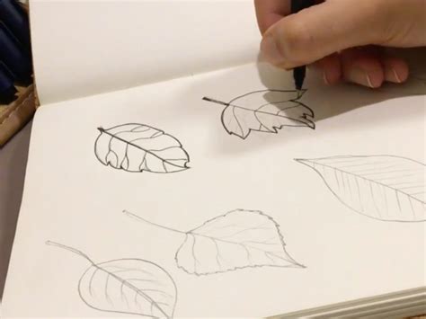 How To Draw Leaves Building Blocks Of A Botanical Masterpiece Skillshare Blog How To Draw Leaves Building Blocks Of A Botanical Masterpiece Skillshare Blog
