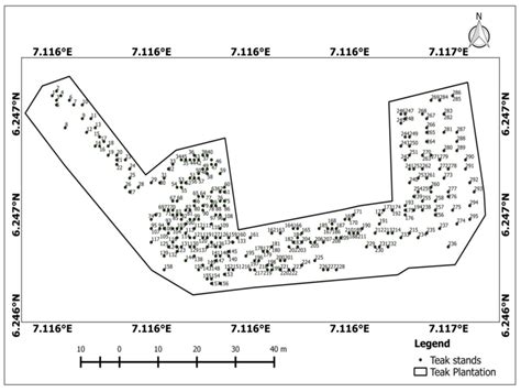 Map Showing Positions Of Trees Enumerated In The Study Area Download Scientific Diagram