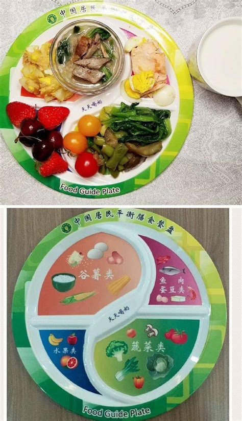 儿童平衡膳食餐盘 儿童平衡膳食 儿童平衡膳食宝塔 大山谷图库