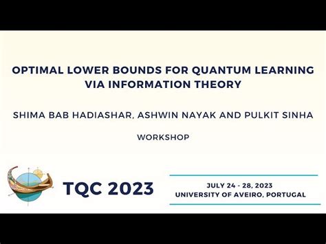 free video optimal lower bounds for quantum learning via information