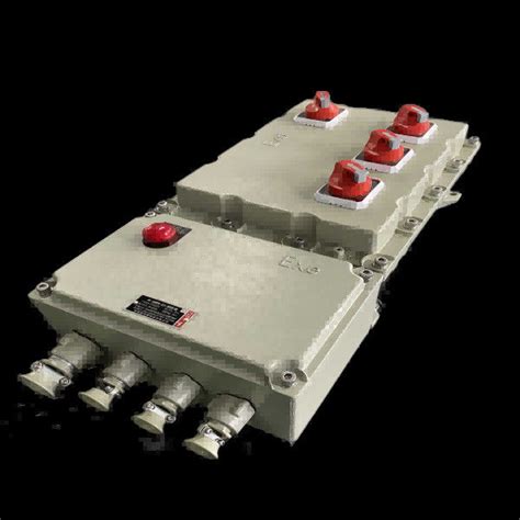 Wall Mounted Box Panel Explosion Proof With Ac220v380v Voltage