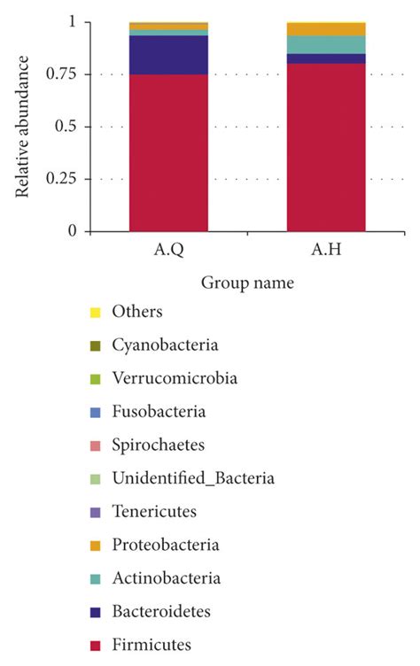 Histogram And Evolutionary Branching Diagram Of Lda Value Distribution Download Scientific