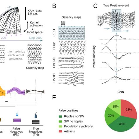 analysis of the convolutional neural network cnn kernel saliency