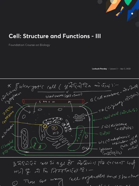 Cell Structure And Functions Iii With Anno 1649004926951 Pdf